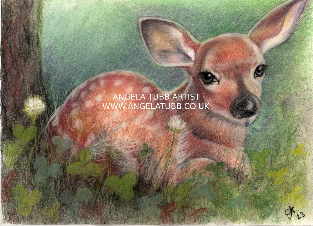 Baby Fawn in Clover A4 Archival Matt High Quality Print - Etsy