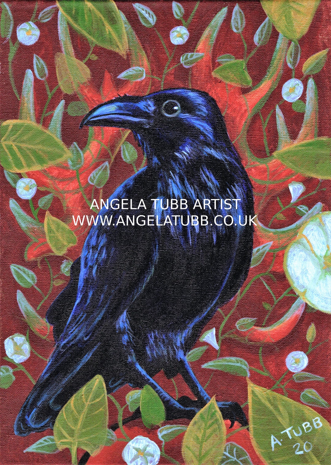 Beautiful Raven A4 Archival Matt High Quality Print - Etsy