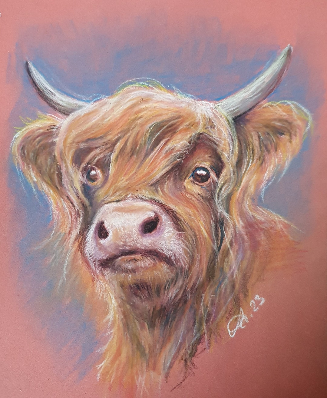 Highlsnd Cow in Pastel Original Drawing - Etsy