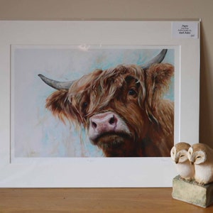 Angus - Etsy