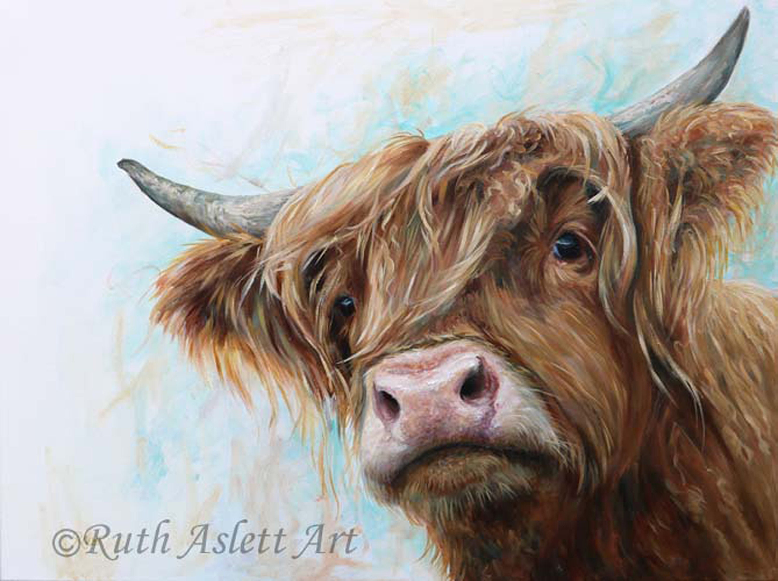 Angus - Etsy