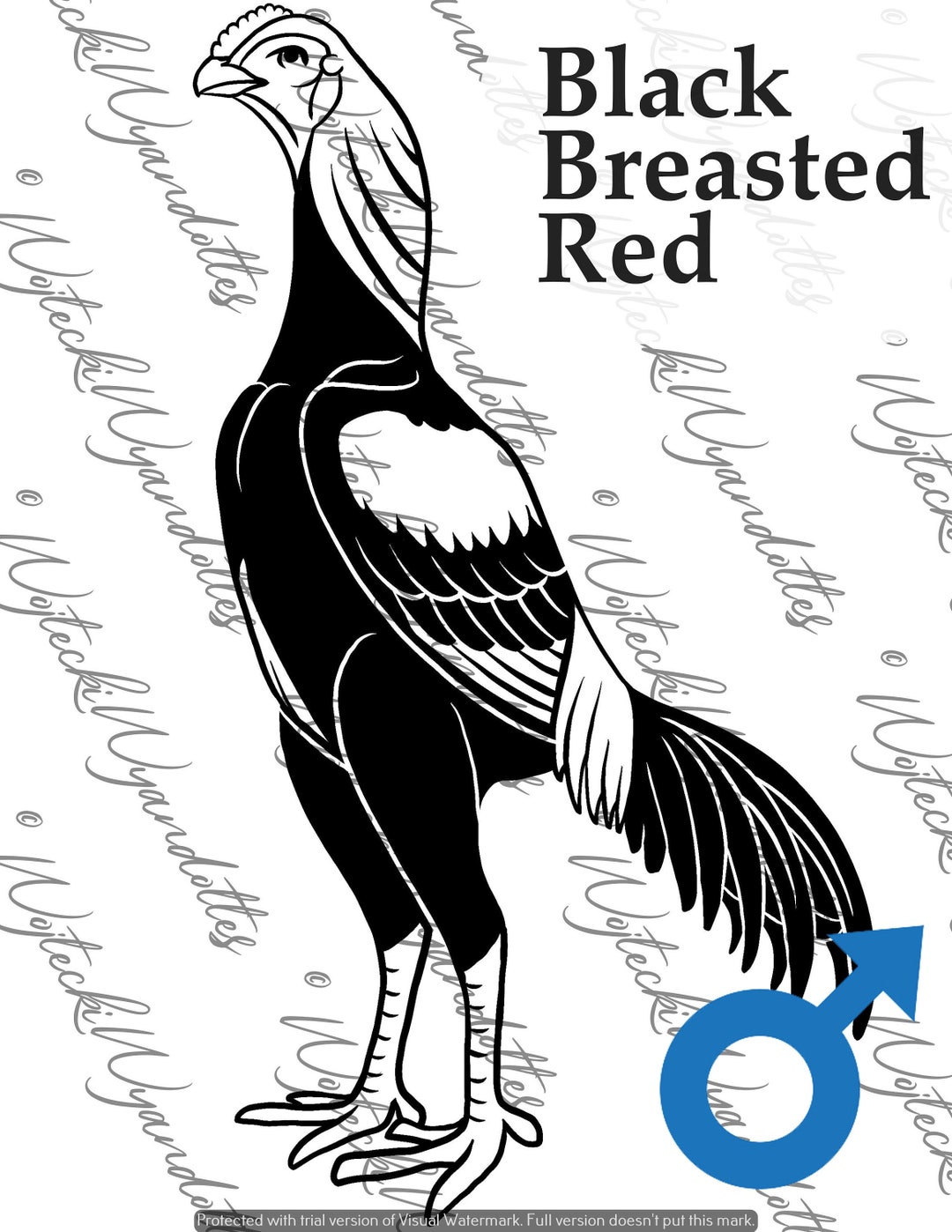 Exhibition Shamo Chicken Vinyl Decal Multiple Varieties - Etsy