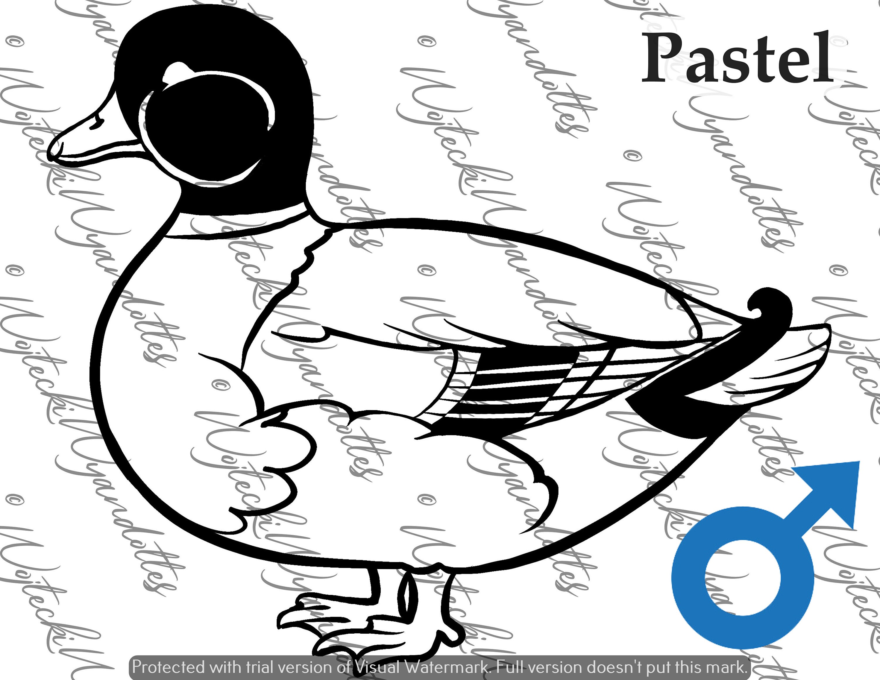 Exhibition Call Duck Vinyl Decal Multiple Varieties - Etsy