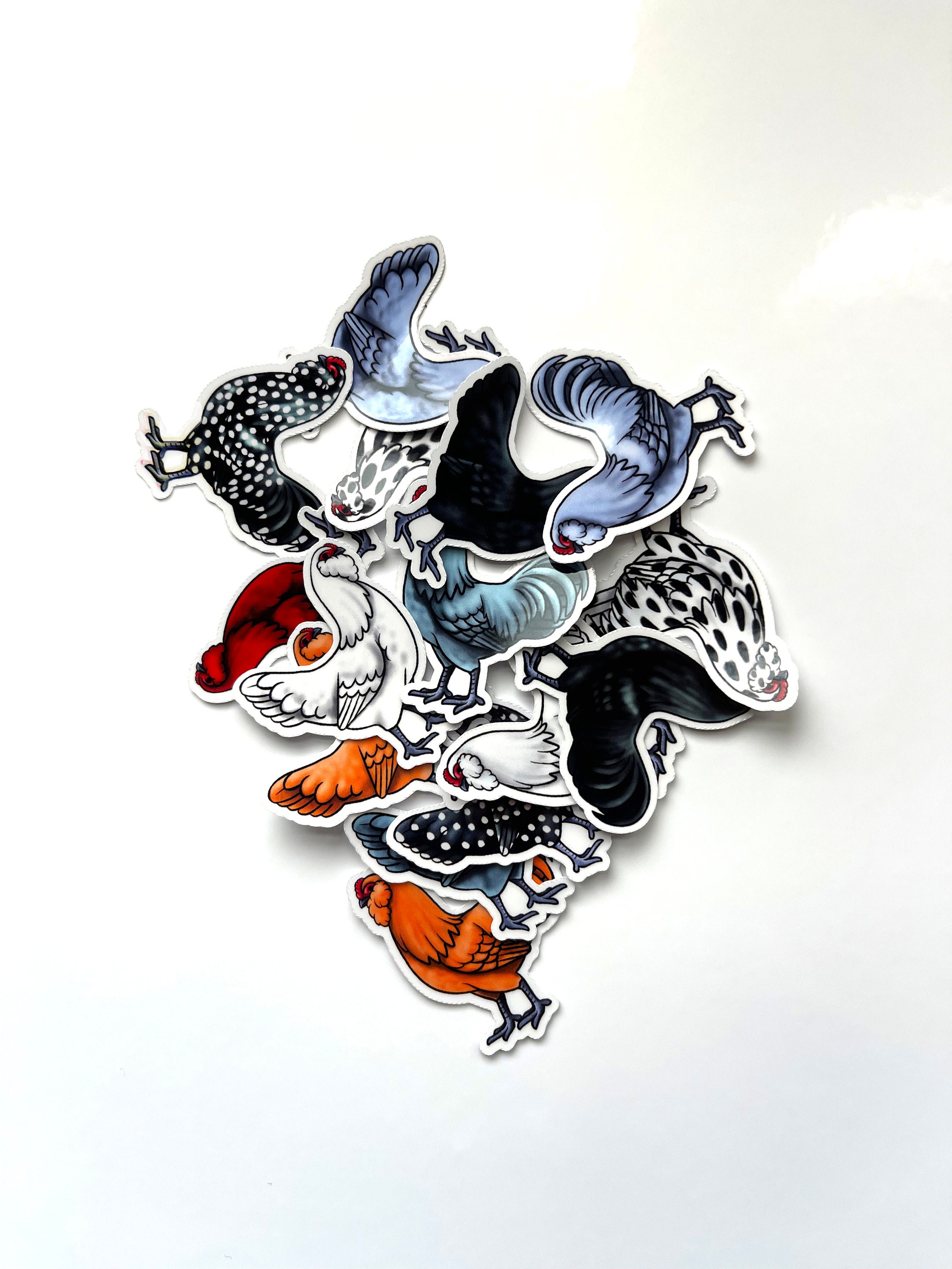 Ameraucana Chicken Stickers Choose Your Variety - Etsy