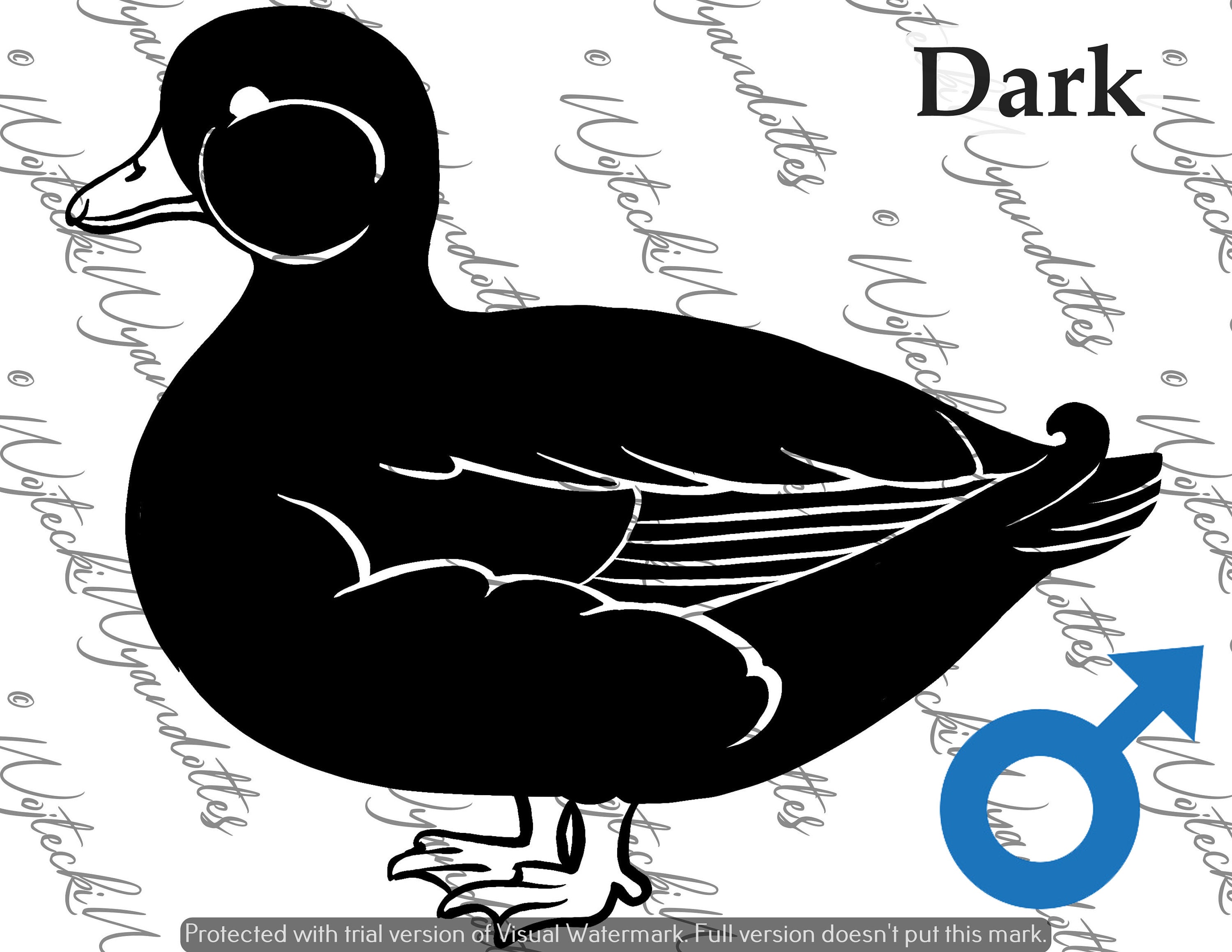 Exhibition Call Duck Vinyl Decal Multiple Varieties - Etsy