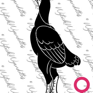 Exhibition Ko Shamo Chicken Vinyl Decal Multiple Varieties - Etsy