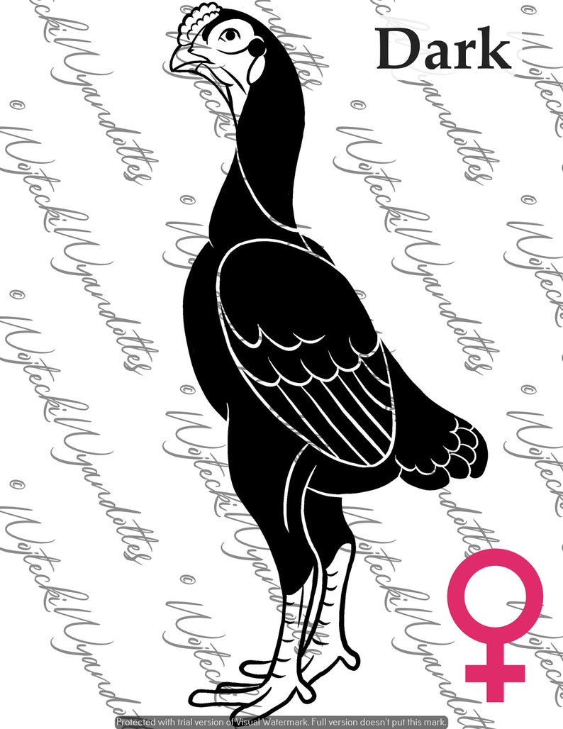 Exhibition Ko Shamo Chicken Vinyl Decal Multiple Varieties - Etsy