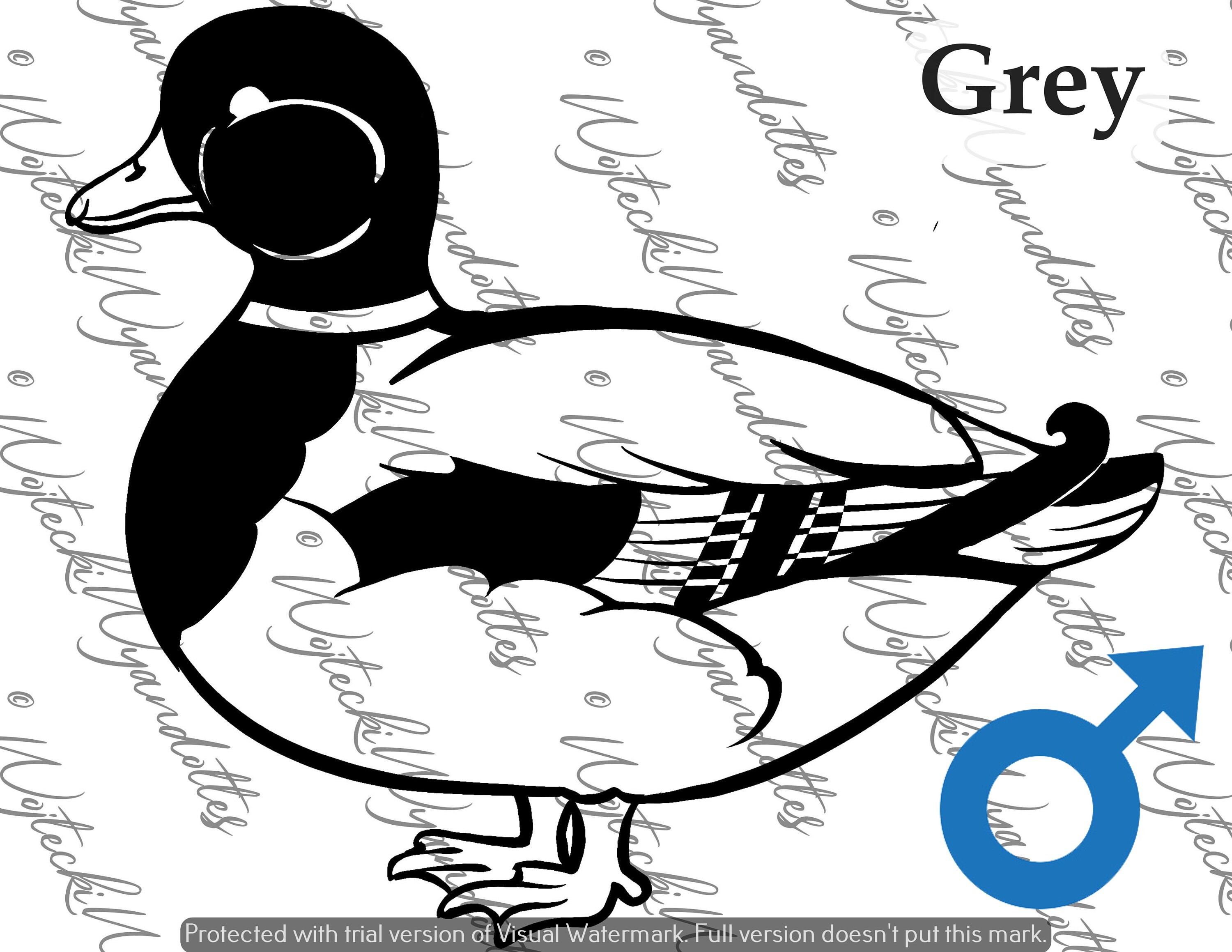 Exhibition Call Duck Vinyl Decal Multiple Varieties - Etsy