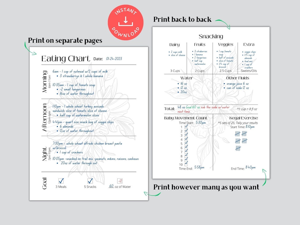 Printable Pregnancy Eating Chart Daily Eating Chart for Pregnancy ...