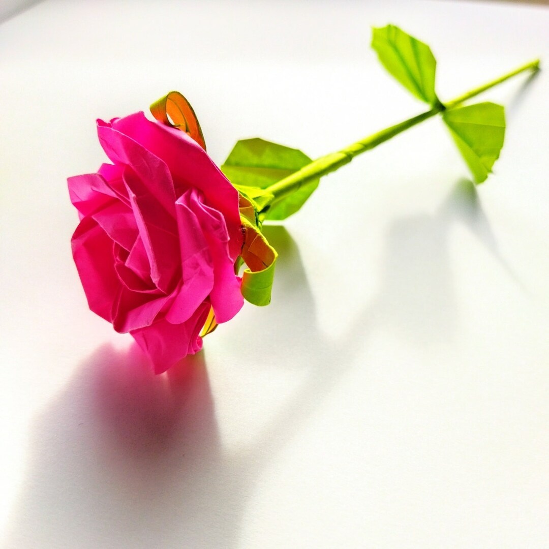 Colourful Origami Eternal Rose - Etsy