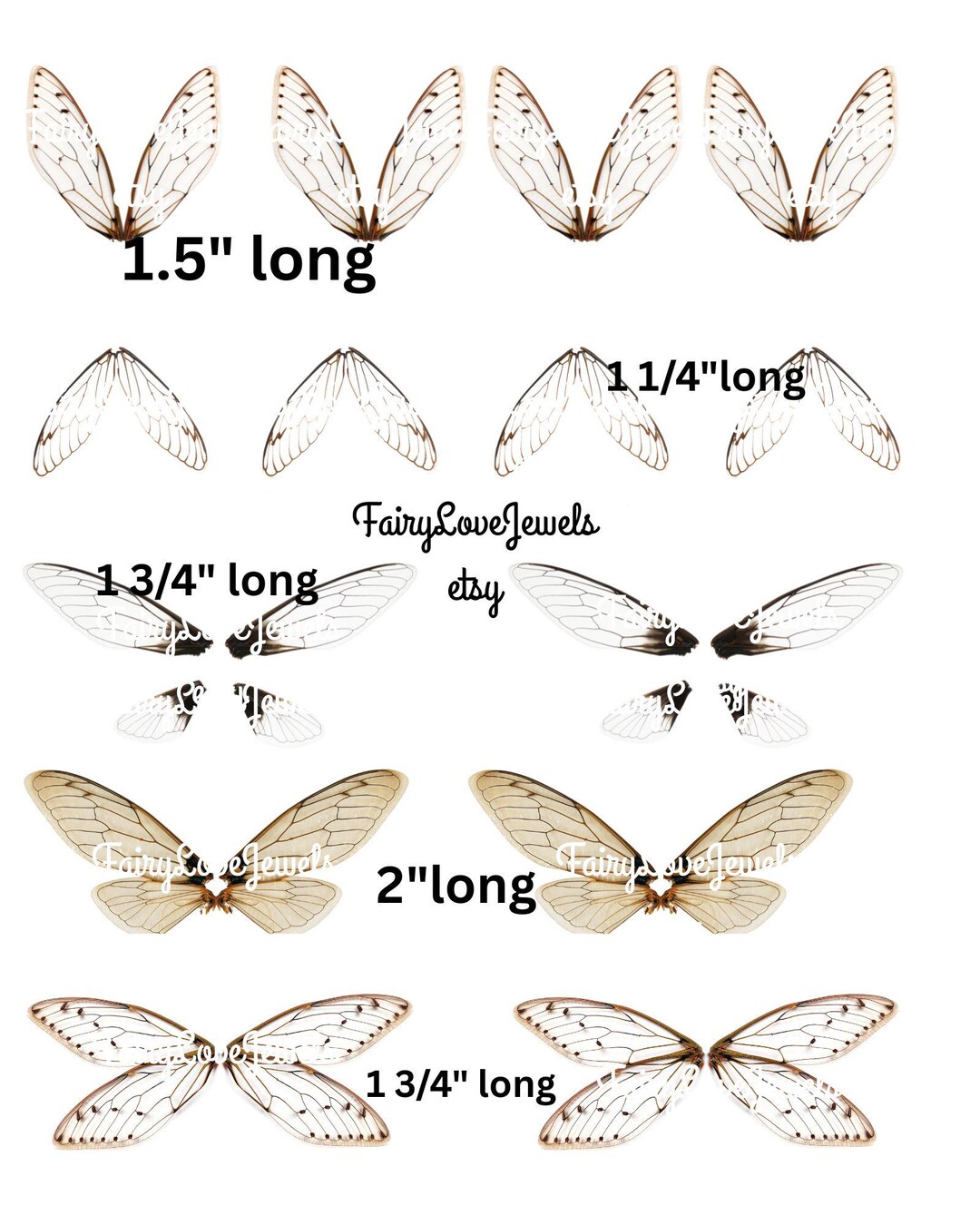 Printable Realistic Cicada Wing Instant Digital Download, PDF, PNG, DIY ...