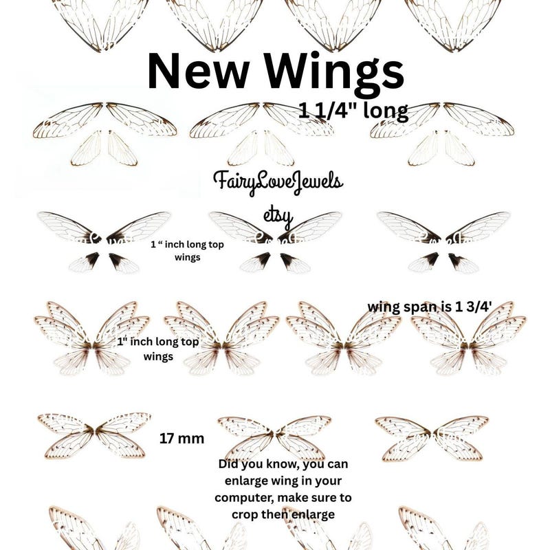 Cicada Wings - Etsy