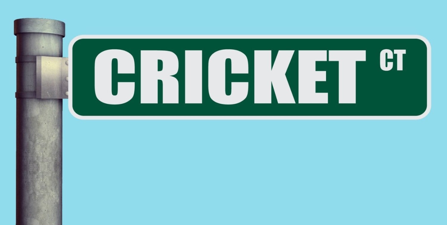 Cricket CT Street Sign Court Heavy Duty Aluminum Warning | Etsy