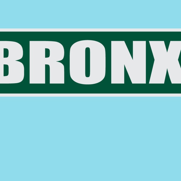Bronx Parking Sign - Etsy
