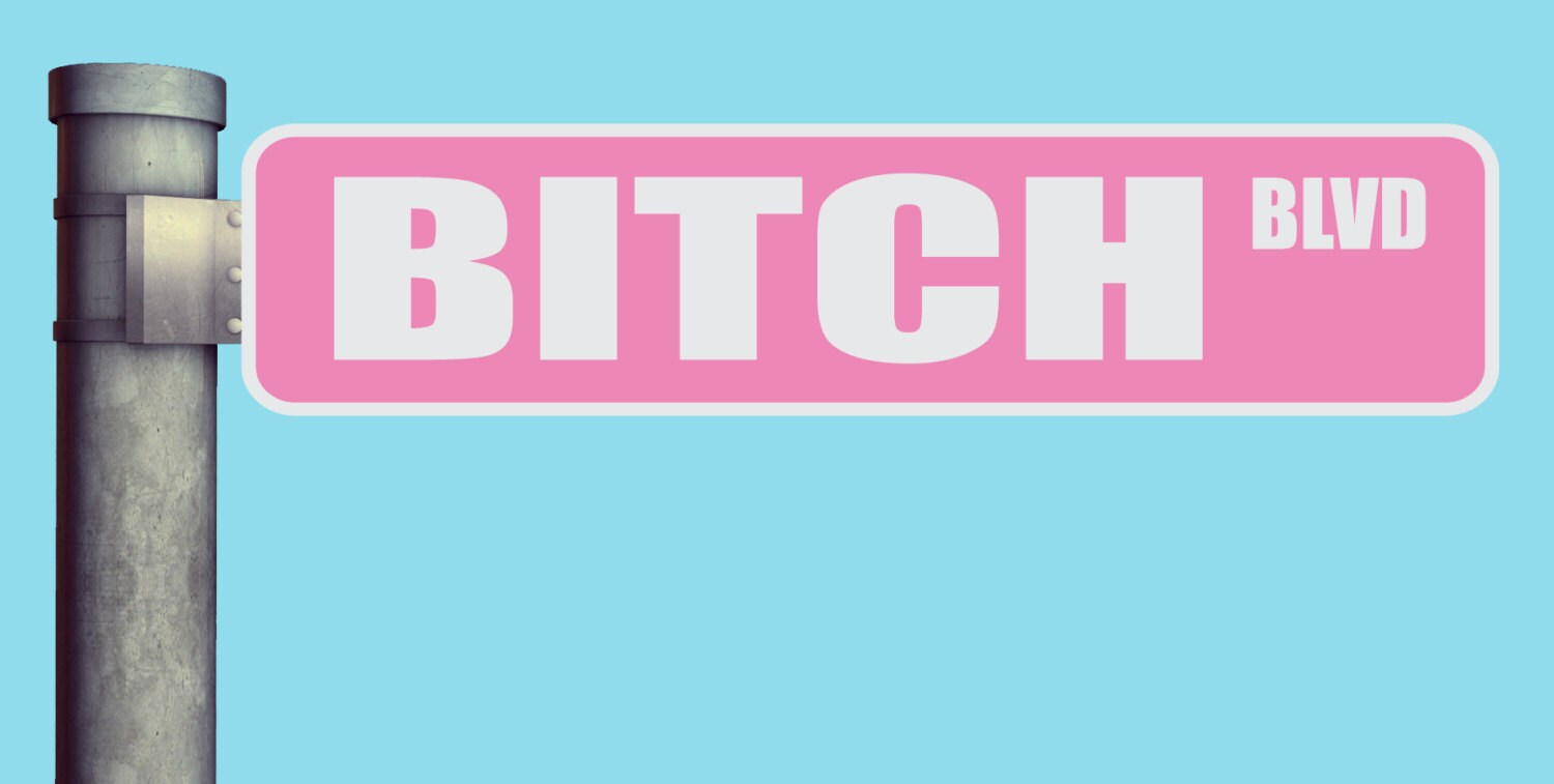 Bitch BLVD Street Sign Boulevard Heavy Duty Aluminum Warning Parking ...