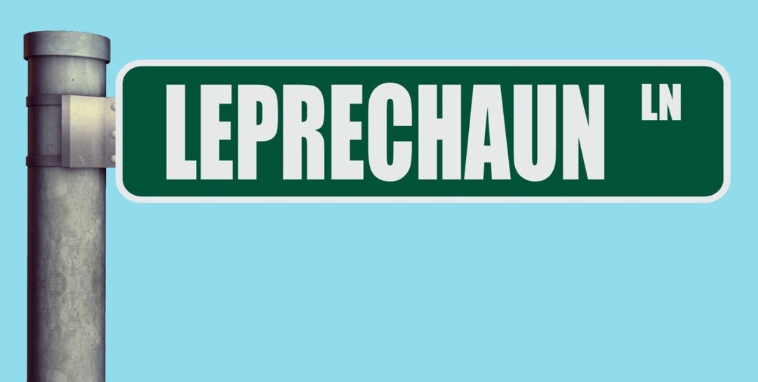 Leprechaun LN Street Sign Lane Heavy Duty Aluminum Warning Parking Sign ...