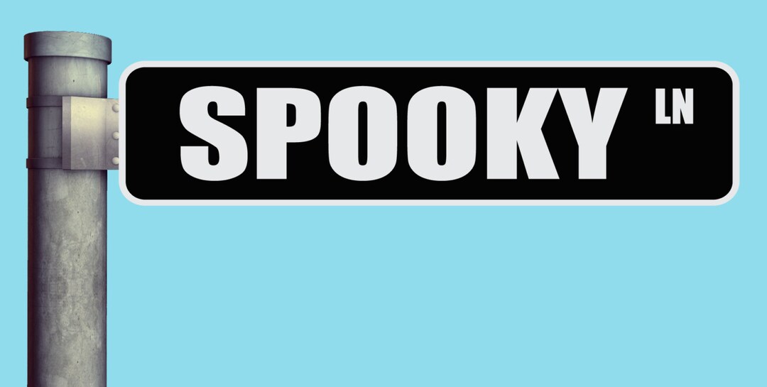 Spooky LN Street Sign Lane Heavy Duty Aluminum Warning Parking Sign 17 ...