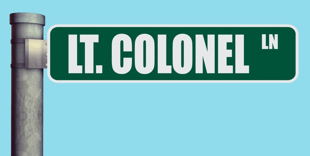 Lt. Colonel LN Street Sign Lane Heavy Duty Aluminum Warning Parking ...