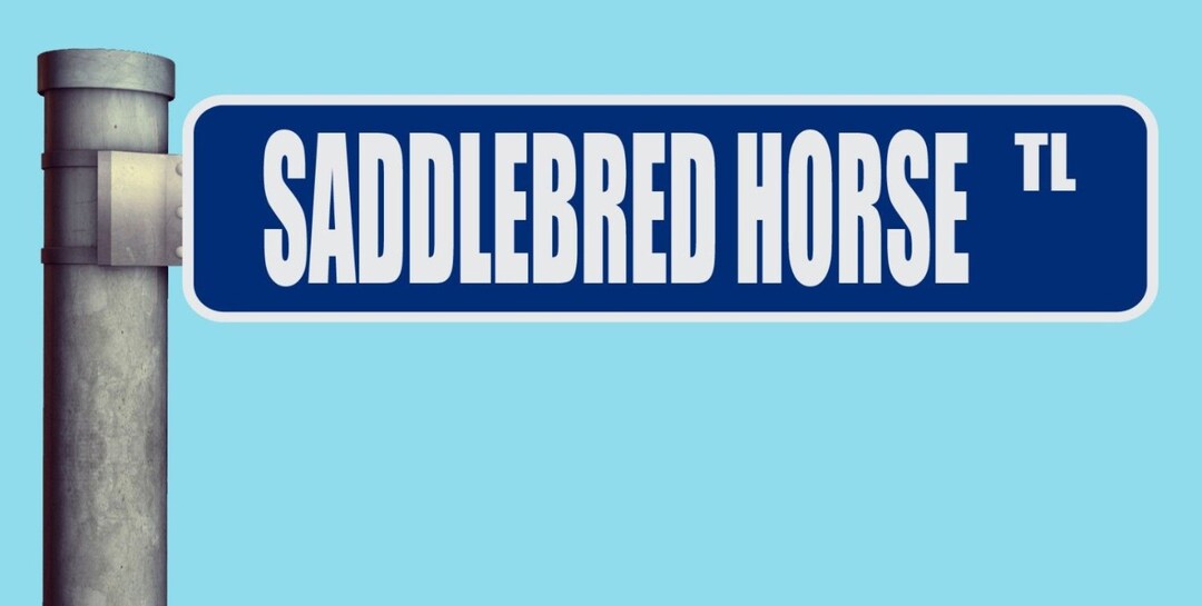 Saddlebred Horse TL Street Sign Trail Heavy Duty Aluminum Warning ...
