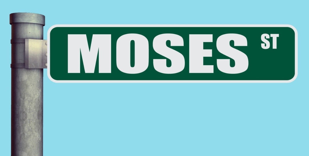 Moses ST Street Sign Heavy Duty Aluminum Warning Parking Sign 17" X 4 ...