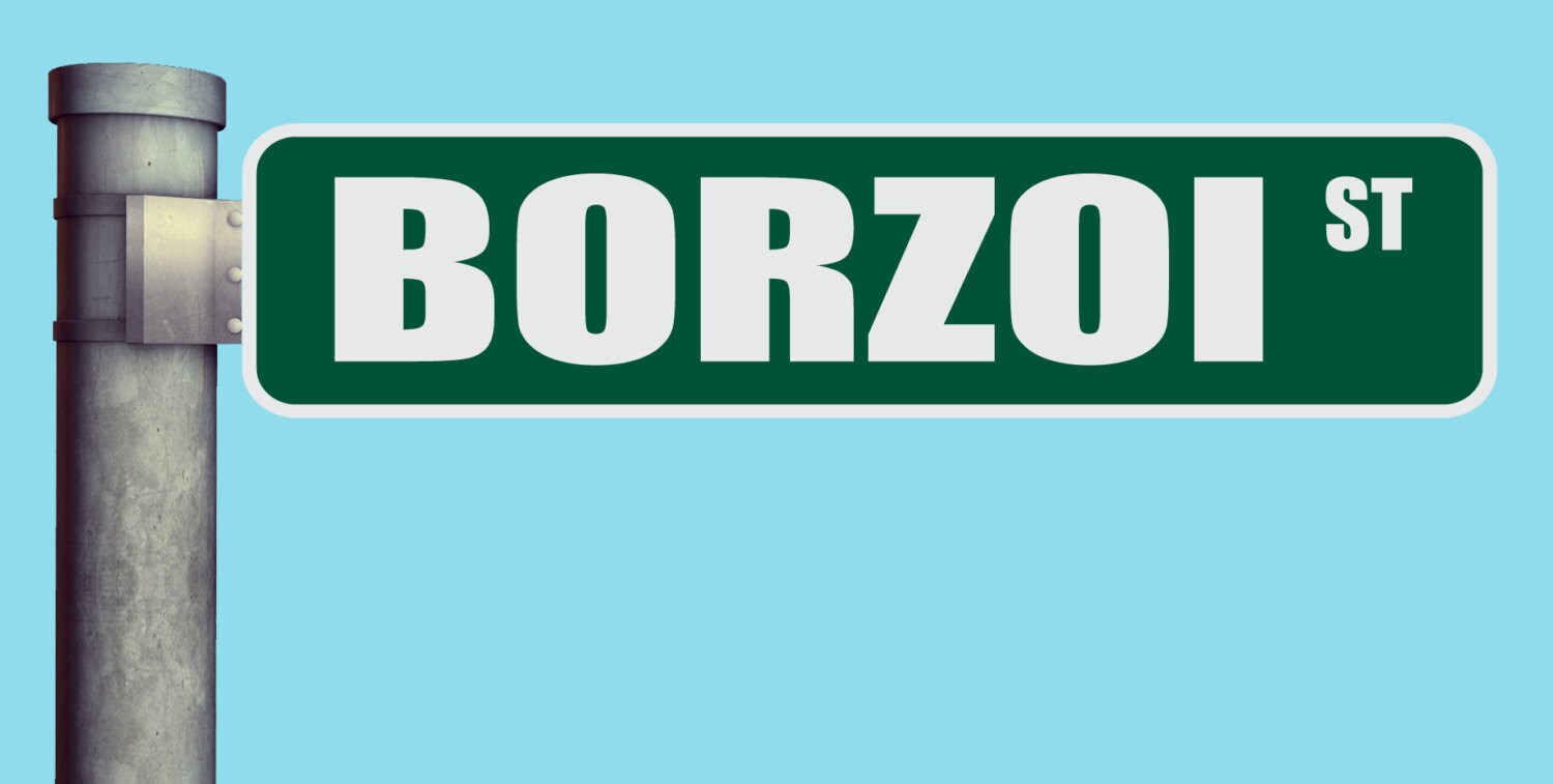 Borzoi ST Street Sign Heavy Duty Aluminum Warning Parking Sign - Etsy