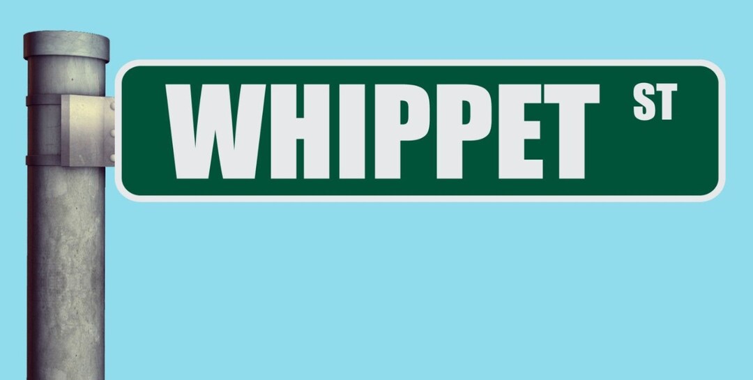 Whippet ST Street Sign Heavy Duty Aluminum Warning Parking Sign 17" X 4 ...