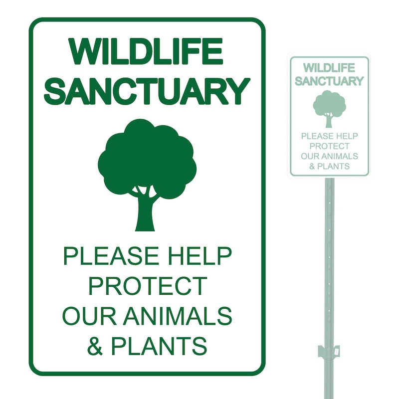 Sanctuary Sign - Etsy