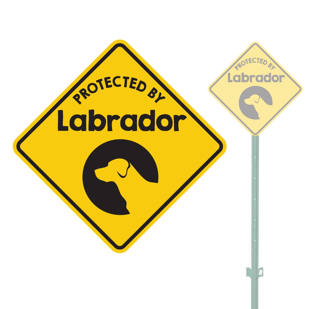 Beware of the Dog Protected by Labrador Heavy Duty Aluminum Warning ...