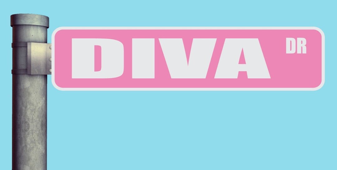 Diva DR Street Sign Drive Heavy Duty Aluminum Warning Parking Sign 17 ...