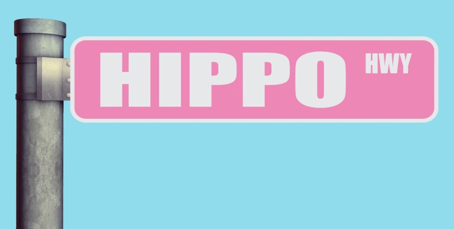 Hippo HWY Street Sign Highway Heavy Duty Aluminum Warning Parking Sign ...