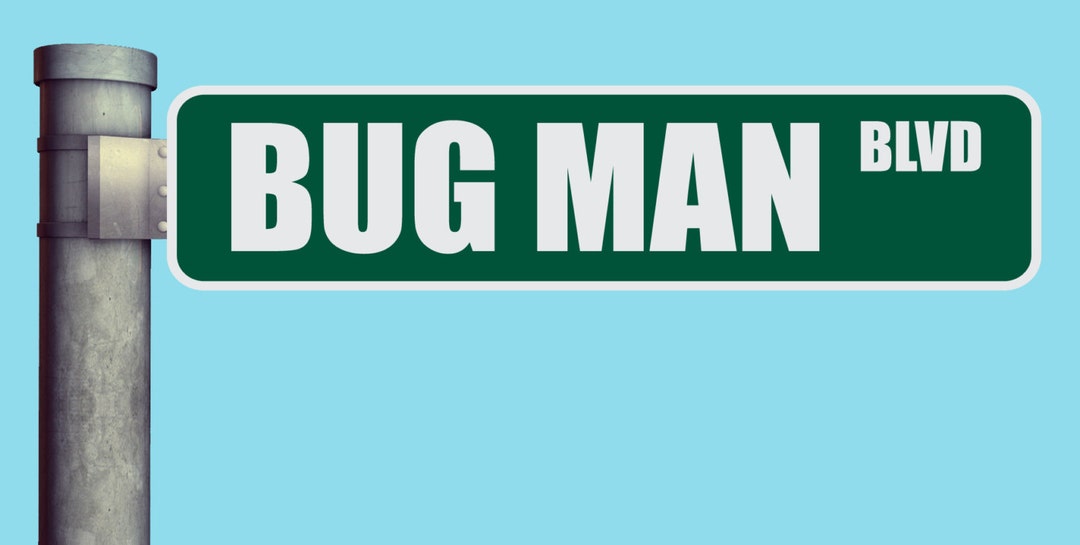 Bug Man BLVD Street Sign Boulevard Heavy Duty Aluminum Warning Parking ...