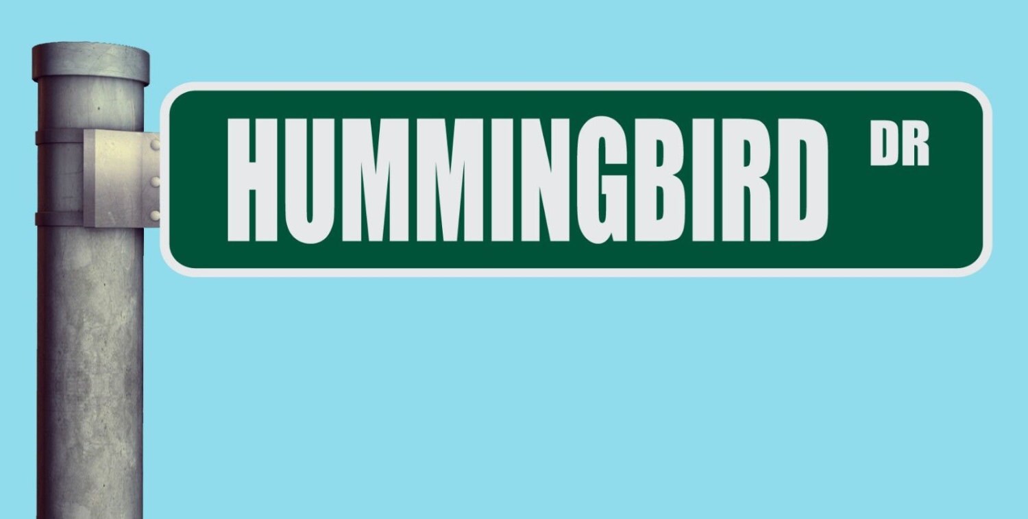 Hummingbird DR Street Sign Drive Heavy Duty Aluminum Warning - Etsy