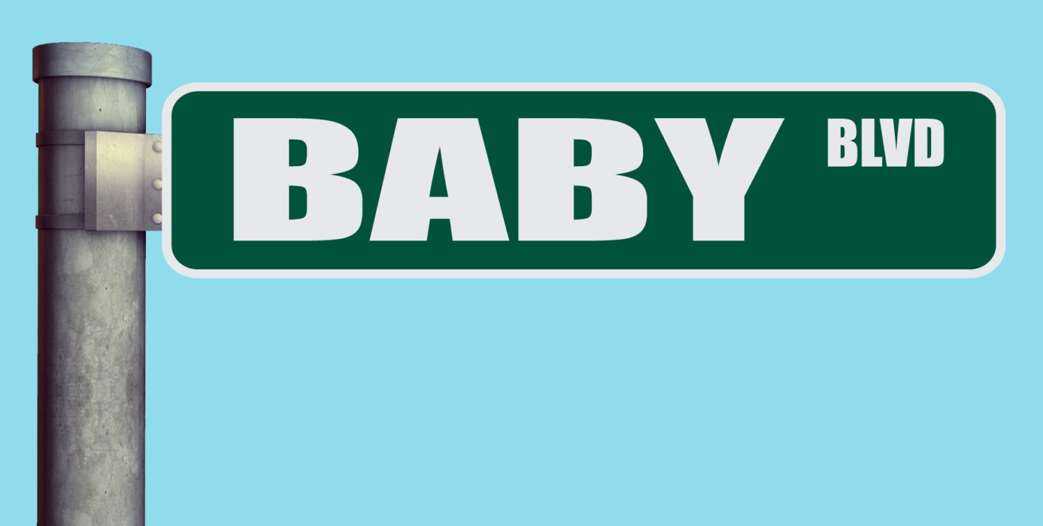 Baby BLVD Street Sign Boulevard Heavy Duty Aluminum Warning - Etsy