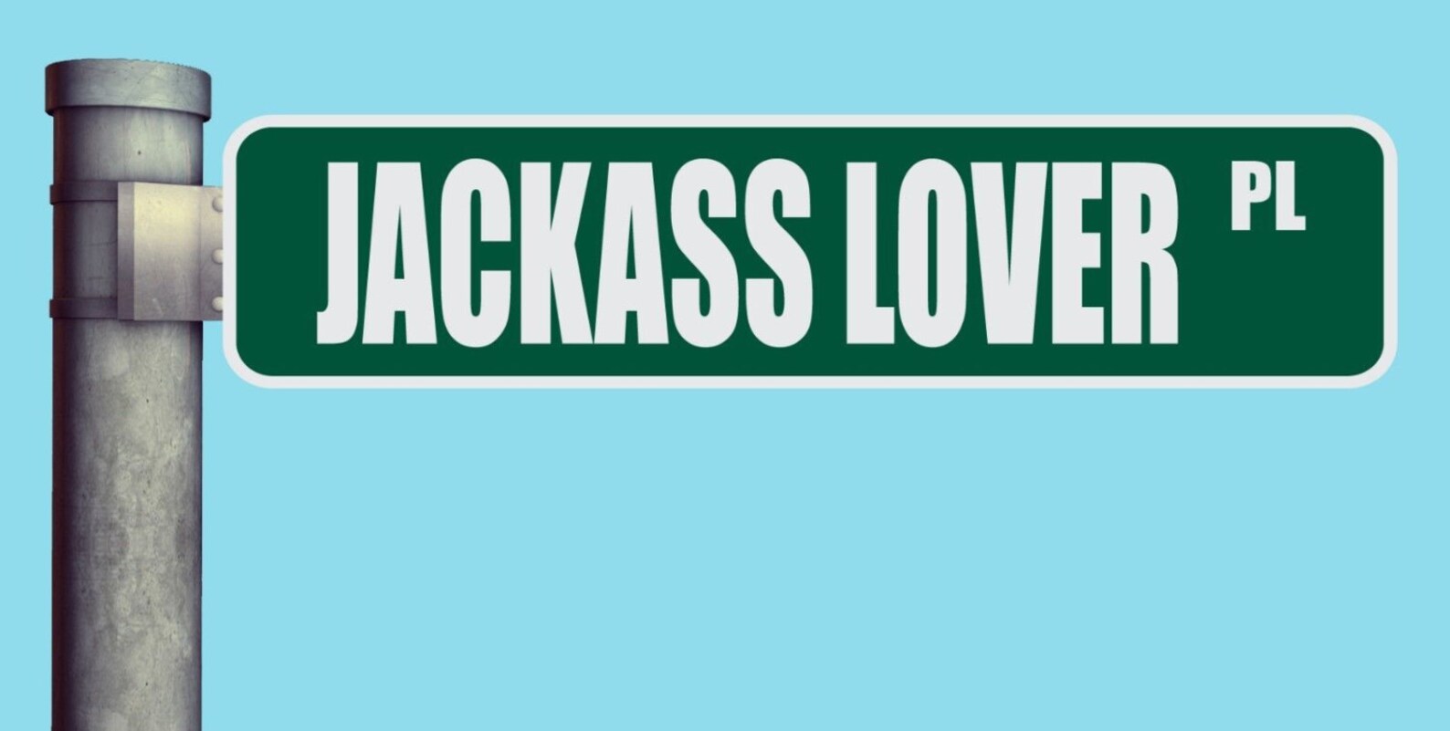 Jackass Lover PL Street Sign Place Heavy Duty Aluminum Warning Parking ...