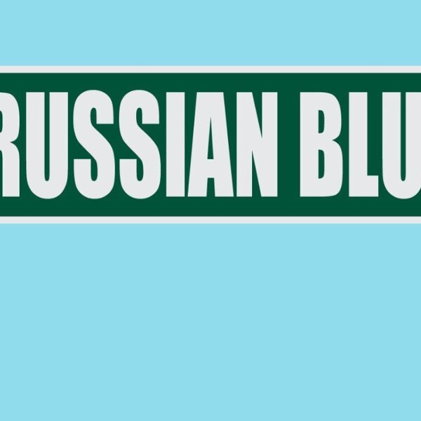 Russian Street Sign - Etsy