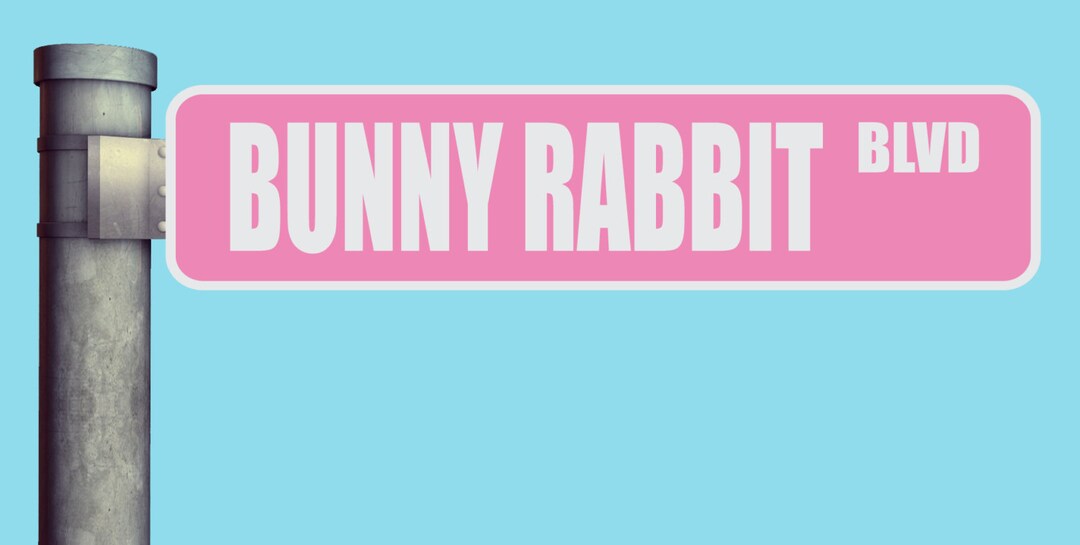 Bunny Rabbit BLVD Street Sign Boulevard Heavy Duty Aluminum Warning ...