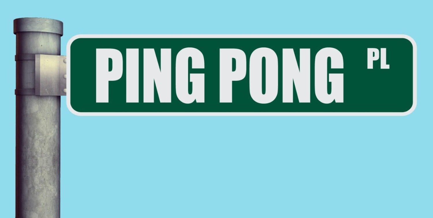Ping Pong PL Street Sign Place Heavy Duty Aluminum Warning Parking Sign ...