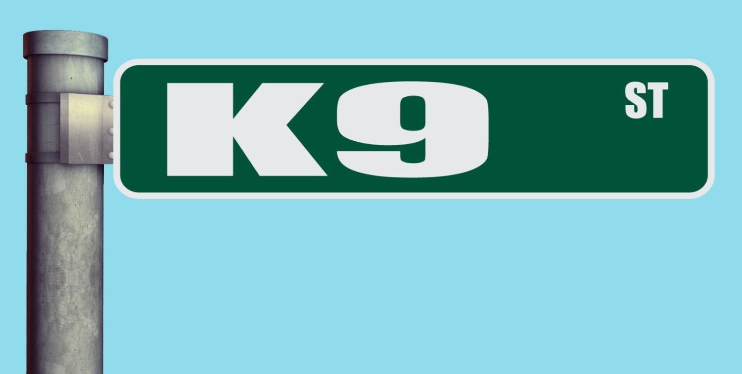 K9 ST Street Sign Heavy Duty Aluminum Warning Parking Sign 17" X 4" - Etsy