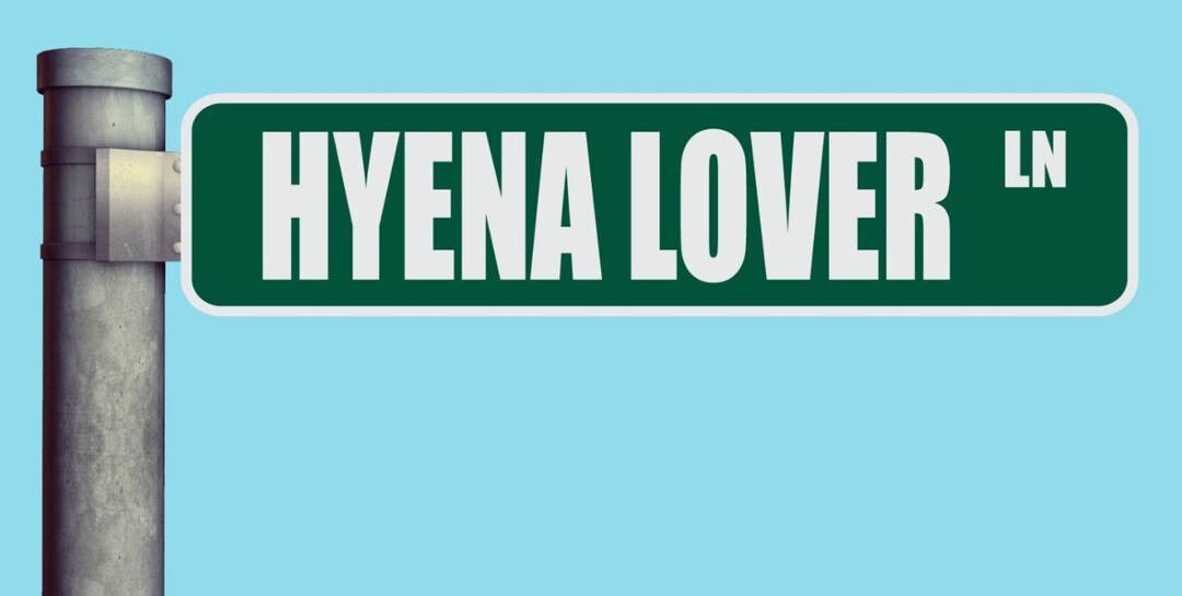 Hyena Lover LN Street Sign Lane Heavy Duty Aluminum Warning Parking ...