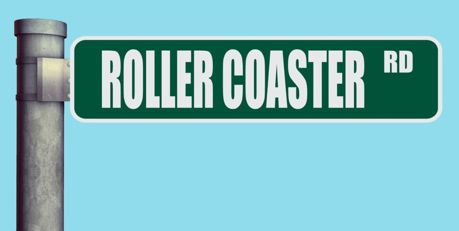 Roller Coaster RD Street Sign Road Heavy Duty Aluminum Warning Parking ...