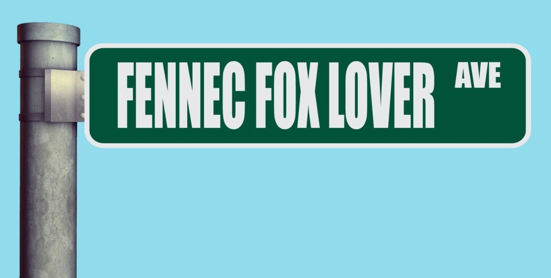 Fennec Fox Lover AVE Street Sign Avenue Heavy Duty Aluminum Warning ...