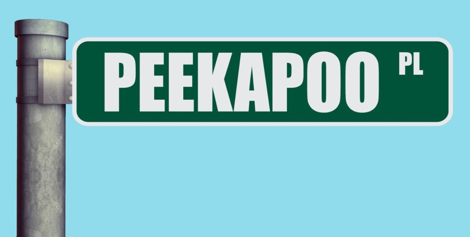 Peekapoo PL Street Sign Place Heavy Duty Aluminum Warning Parking Sign ...