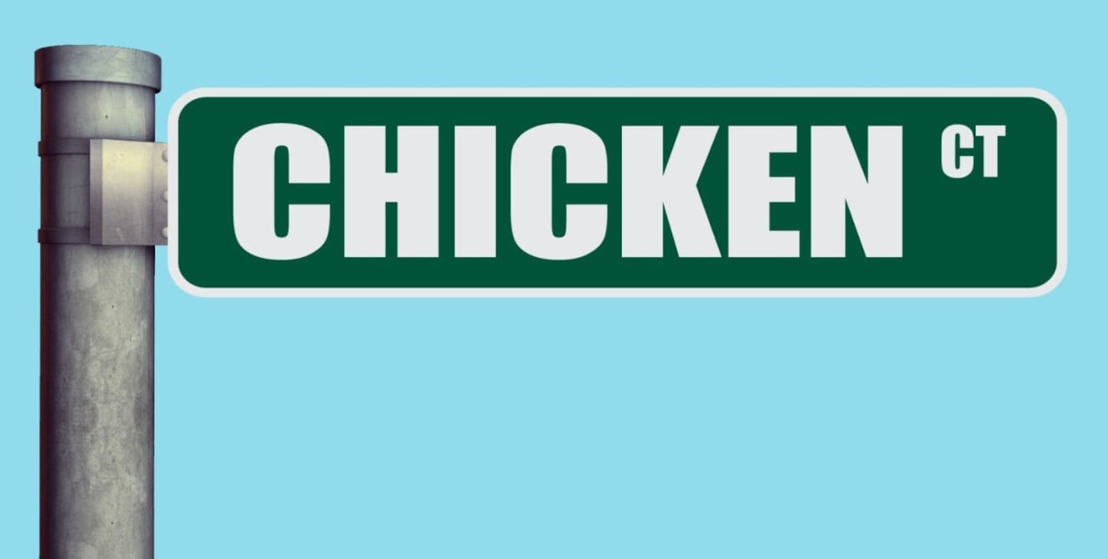Chicken CT Street Sign Court Heavy Duty Aluminum Warning Parking Sign ...