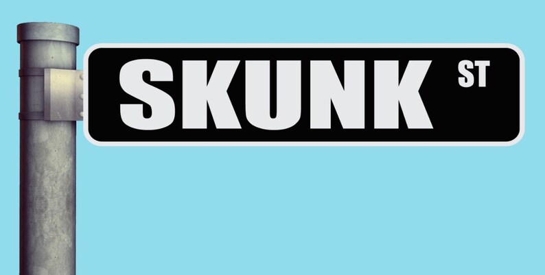 Skunk ST Street Sign Heavy Duty Aluminum Warning Parking Sign - Etsy