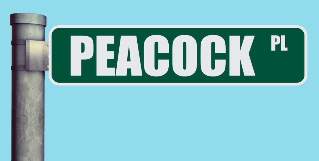 Peacock PL Street Sign Place Heavy Duty Aluminum Warning Parking Sign ...