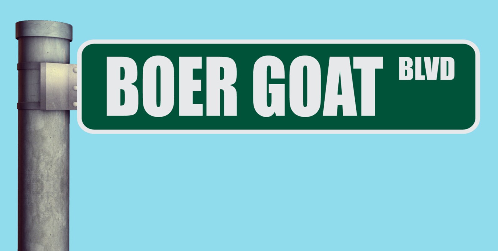 Boer Goat BLVD Street Sign Boulevard Heavy Duty Aluminum Warning ...