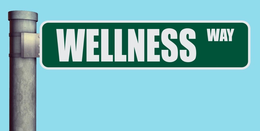 Wellness Way Street Sign Heavy Duty Aluminum Warning Parking Sign 17" X ...