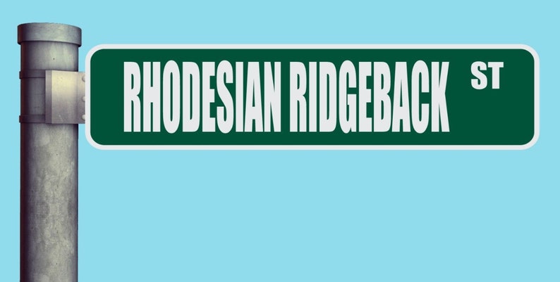 Rhodesian Ridgeback ST Street Sign Heavy Duty Aluminum Warning - Etsy UK