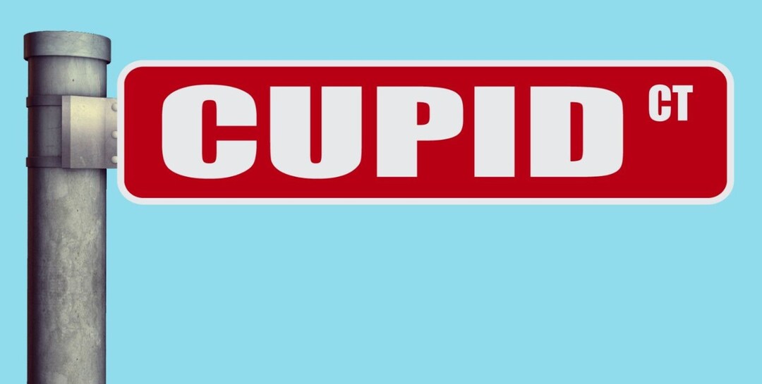 Cupid CT Street Sign Court Heavy Duty Aluminum Warning Parking Sign 17 ...