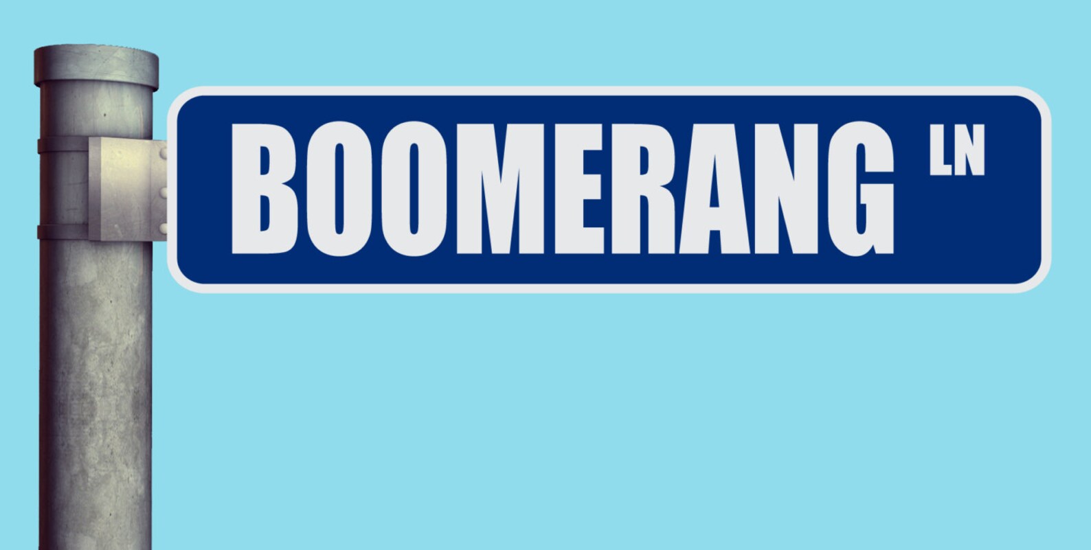 Boomerang LN Street Sign Lane Heavy Duty Aluminum Warning Parking Sign ...
